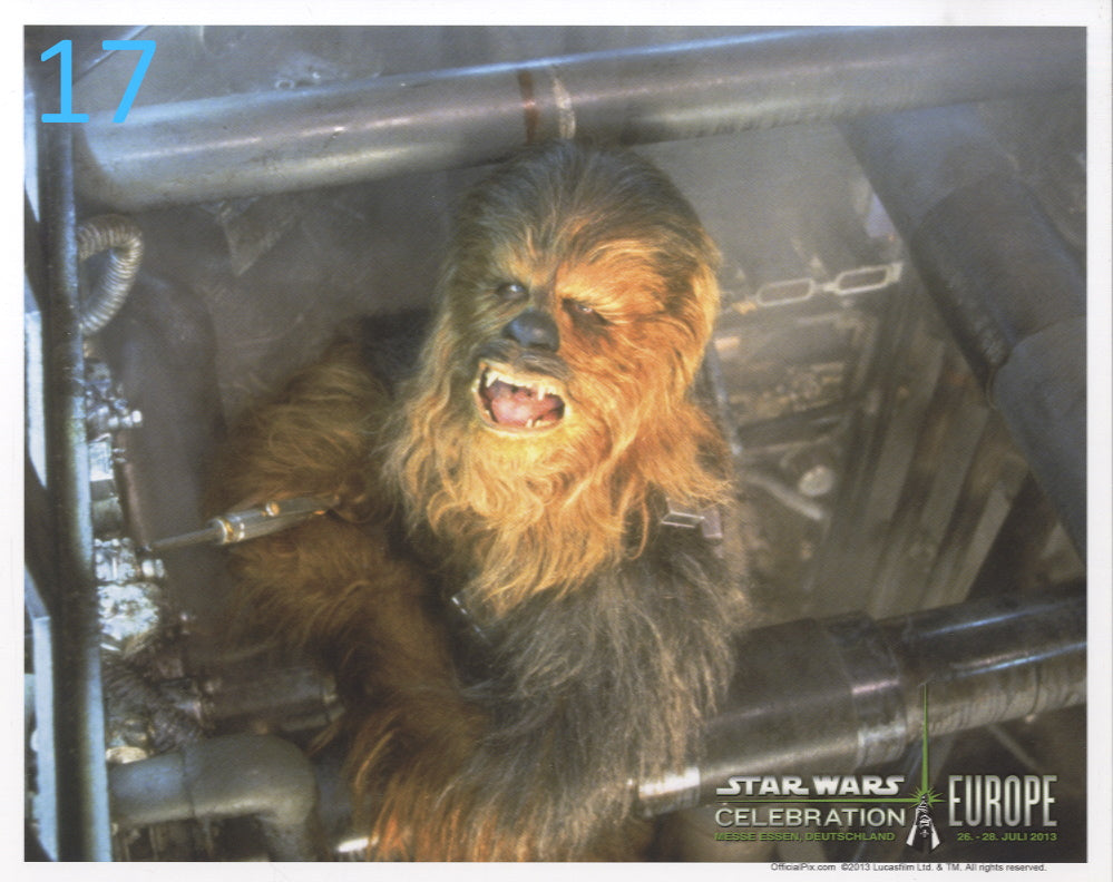 17 - Chewbacca Falcon Celebration Blank 8"x10" Photo – Hollywood ...